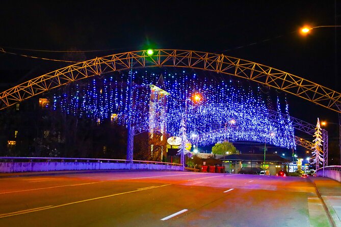 Winterfest Scenic Evening Tour - Who Would Love This Tour?