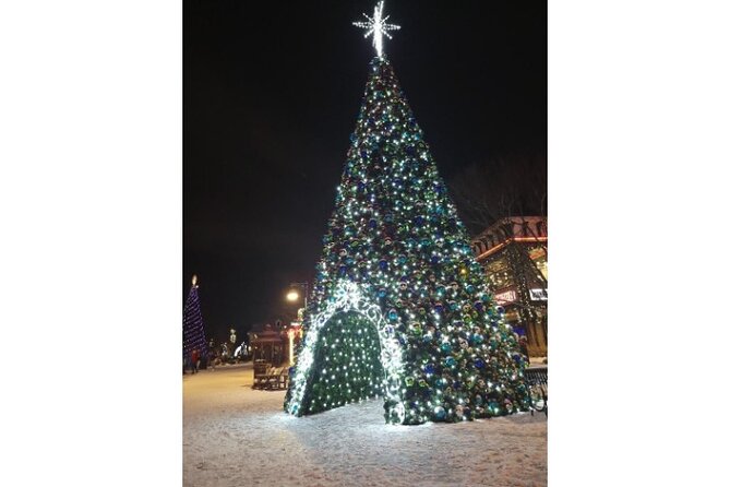 Winterfest Scenic Evening Tour - FAQ