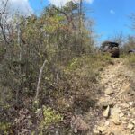 Wintergreen Resort Off-Road Jeep Adventure - Key Points