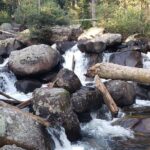 Women's Hike to Ouzel Falls in Rocky Mountain National Park - Who Is This Tour Best For?