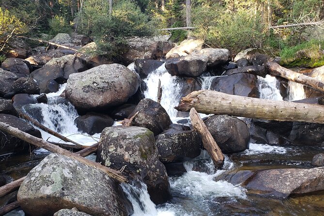 Women's Hike to Ouzel Falls in Rocky Mountain National Park - Who Is This Tour Best For?