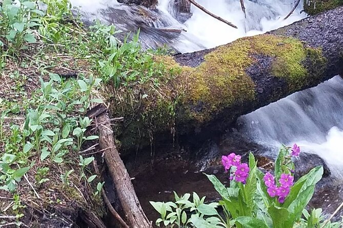 Women's Hike to Ouzel Falls in Rocky Mountain National Park - FAQ