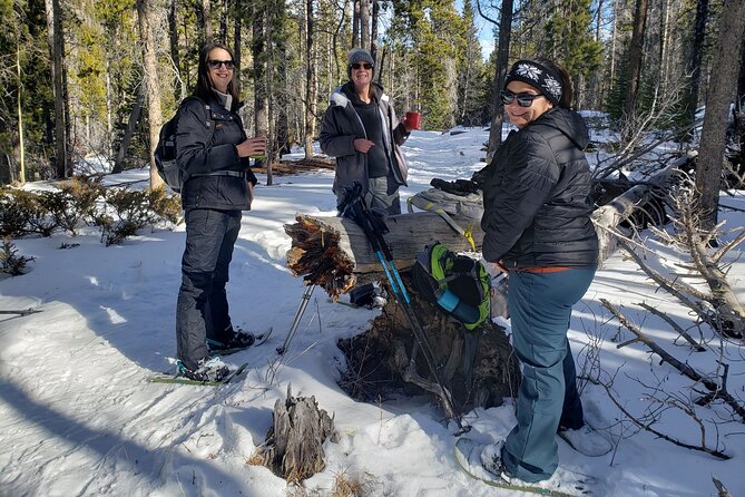 Women's Snowshoeing in Rocky Mountain National Park for Beginners - Who This Tour Is Best For