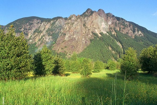 Woodinville Wine and Snoqualmie Falls Day Tour - FAQ