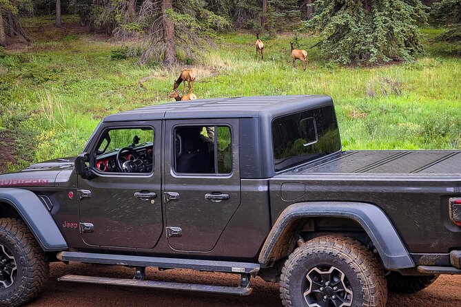 Woodland Park: 4-Hour Self-Guided Jeep Mountain Tour - You Drive - Key Points
