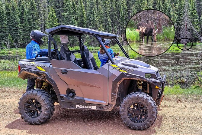 Woodland Park: 4-Hour Self-Guided Mountain UTV Tour - You Drive - Pricing and Value Analysis