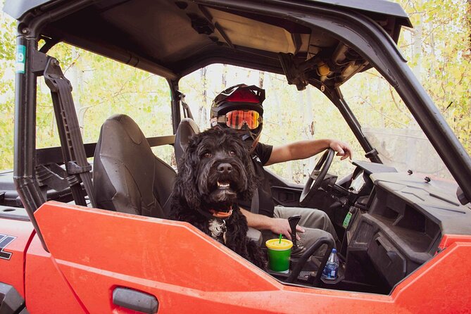 Woodland Park: 4-Hour Self-Guided Mountain UTV Tour - You Drive - Considerations Before Booking