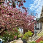 Workers Cottages of Oldtown Triangle Walking Tour - Why This Tour Offers Great Value