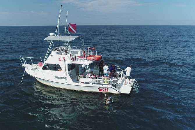 Wreck and Bridge Span Dive for Certified Divers - The Experience: What to Expect