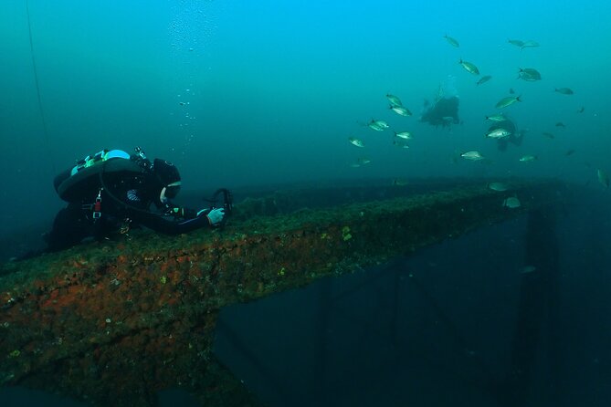 Wreck and Bridge Span Dive for Certified Divers - The Sum Up: Who Should Consider This Tour?