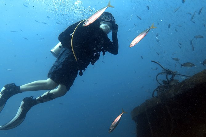 Wreck and Bridge Span Dive for Certified Divers - FAQs