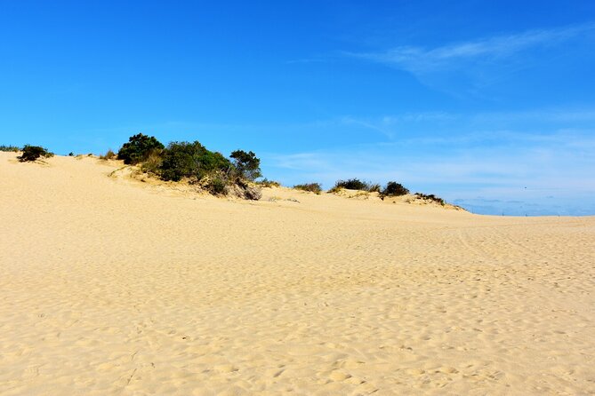 Wright Brothers Carolina Dunes Self-Guided Driving Audio Tour - The Sum Up