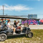Wynwood Art District 1-Hour Street Art Tour by Golf Cart - Who Is This Tour Best For?
