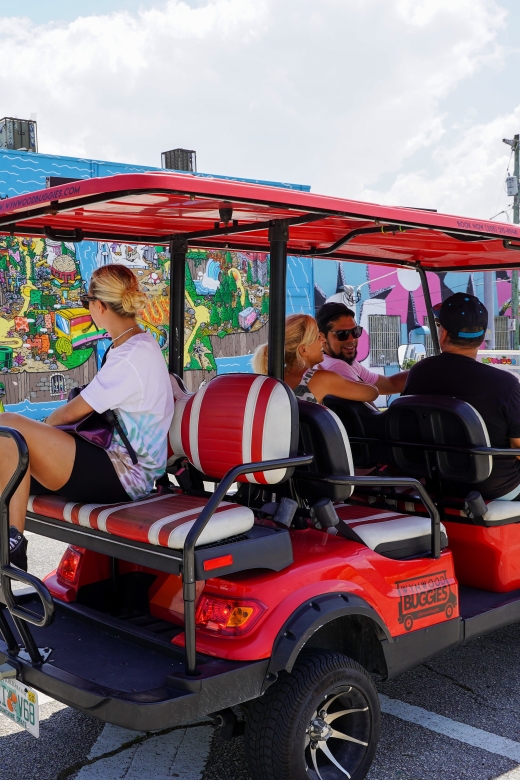 Wynwood Art District 1-Hour Wynwood Buggies Street Art Tour - Who Would Enjoy This Tour?