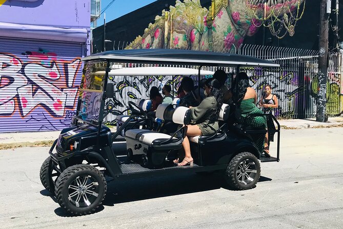 Wynwood Graffiti Golf Cart Small-Group Tour - The Guide & Group Dynamics