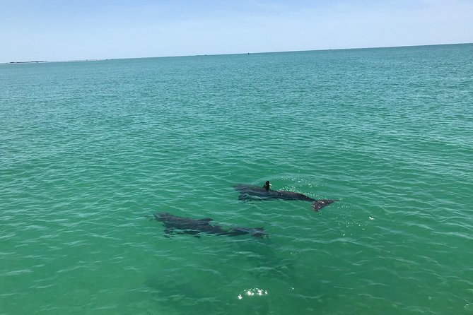 Yacht Charter Madeira beach and Tampa Bay - What Makes This Cruise Stand Out