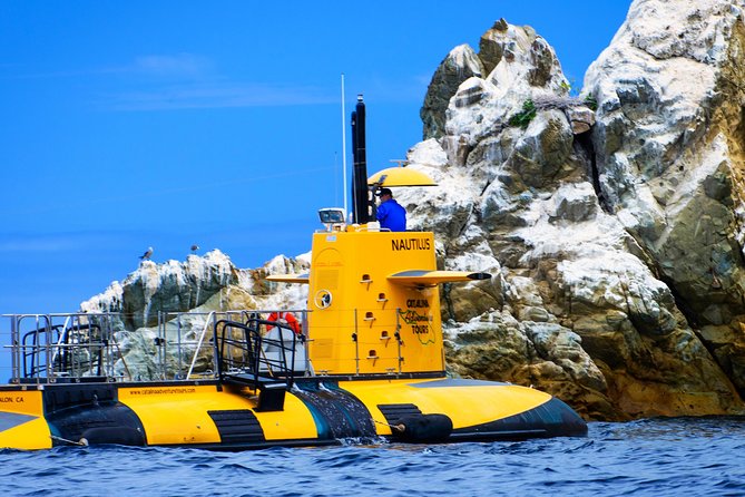 Yellow Semi-Submarine Tour of Catalina Island From Avalon - Key Points
