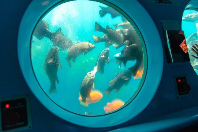 Yellow Semi-Submarine Tour of Catalina Island From Avalon - An In-Depth Look at the Catalina Semi-Submarine Tour