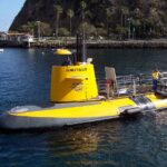 Yellow Semi-Submarine Tour of Catalina Island From Avalon - The Sum Up: Who Is This Tour Best For?