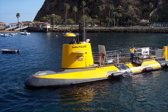 Yellow Semi-Submarine Tour of Catalina Island From Avalon - The Sum Up: Who Is This Tour Best For?