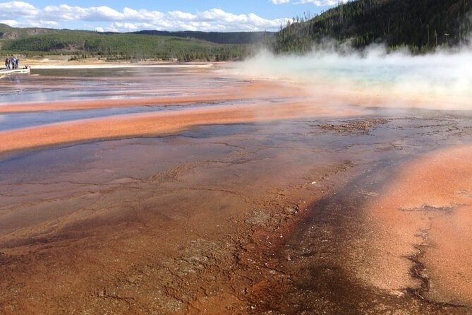 Yellowstone For Kids Family Fun Tour w/PU in West Yellowstone - Old Faithful Geyser