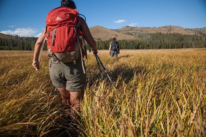Yellowstone Full Day Private Hike - The Sum Up: Is This the Yellowstone Tour for You?