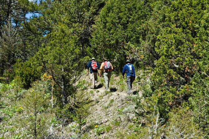 Yellowstone Full Day Private Tour - Is It Worth the Price?