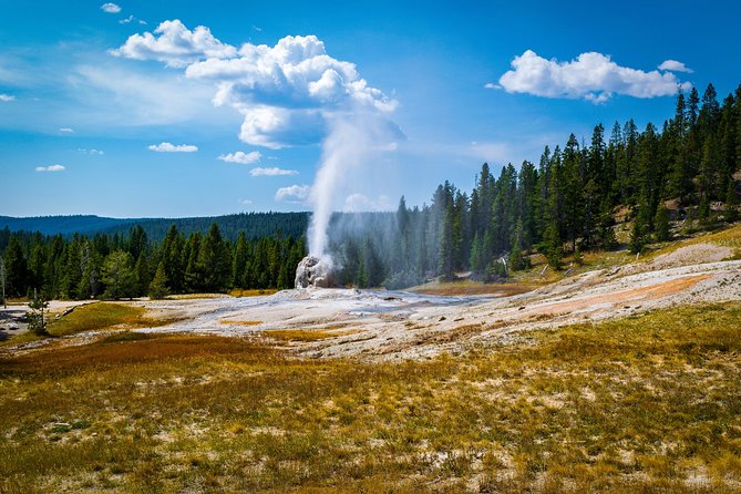 Yellowstone Full Day Private Tour - Who Would Benefit Most?