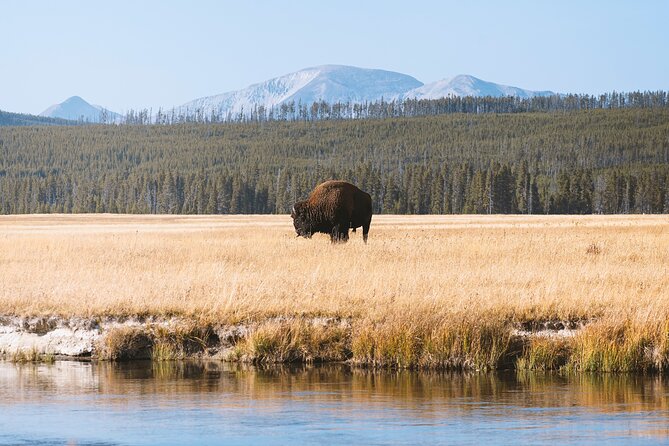 Yellowstone Full Day Small Group Tour (Deep Creek) - Discover Yellowstone in a Day: A Balanced Look at the Deep Creek Small Group Tour  