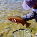 Yellowstone Full Day Wade Fishing Trip - What to Expect from the Yellowstone Full Day Wade Fishing Trip