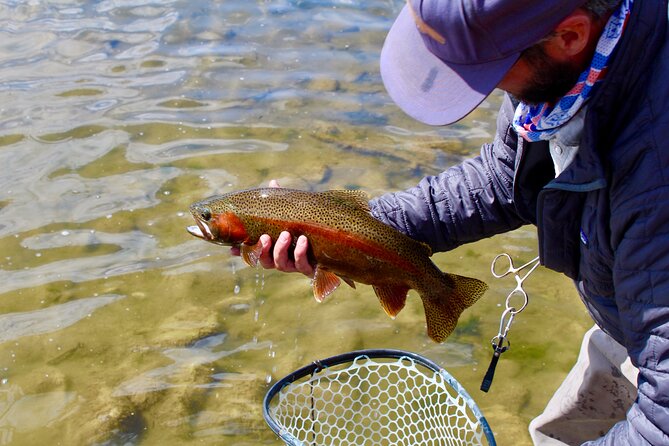 Yellowstone Full Day Wade Fishing Trip - What to Expect from the Yellowstone Full Day Wade Fishing Trip