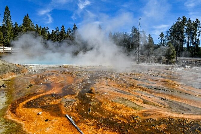 Yellowstone, Grand Teton,& Grand Circle Adventure: 7 Parks 9 Days - Key Points