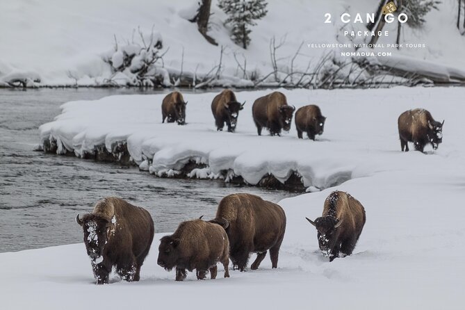 Yellowstone, Grand Teton,& Grand Circle Adventure: 7 Parks 9 Days - What This Tour Means for You