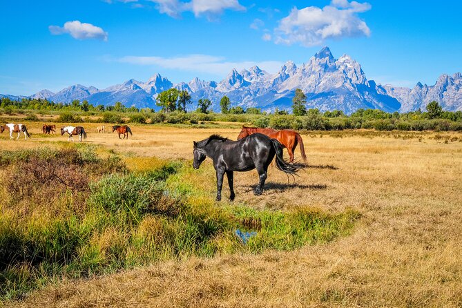Yellowstone, Grand Teton,& Grand Circle Adventure: 7 Parks 9 Days - FAQs
