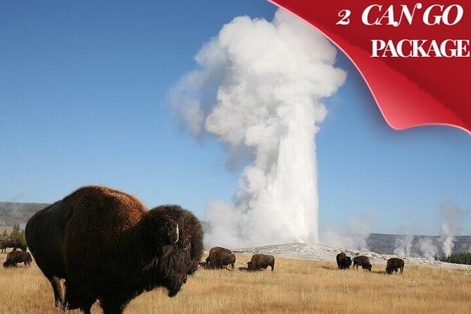 Yellowstone & Grand Teton National Parks: Small Group 4-Day Tour - Key Points: