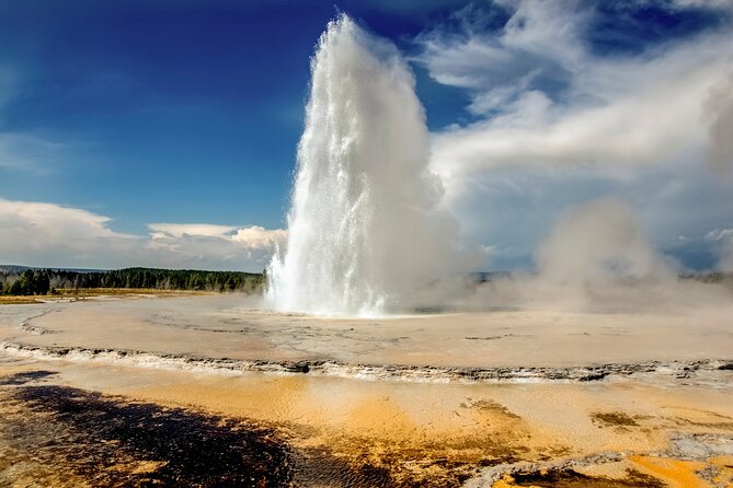 Yellowstone & Grand Teton National Parks: Small Group 4-Day Tour - What Really Sets This Tour Apart