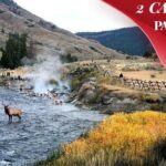 Yellowstone & Grand Teton National Parks: Small Group 6-Day Tour - What Travelers Are Saying
