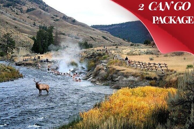 Yellowstone & Grand Teton National Parks: Small Group 6-Day Tour - What Travelers Are Saying