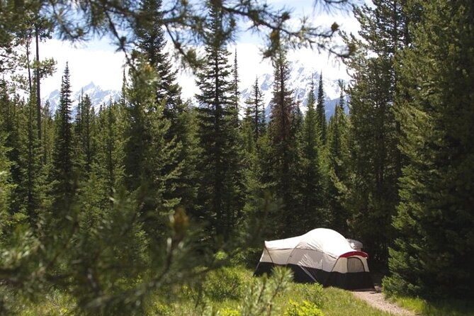 Yellowstone & Grand Teton National Parks: Small Group 6-Day Tour - Who Should Consider This Tour?