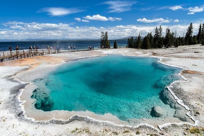 Yellowstone & Grand Teton National Parks: Small Group 6-Day Tour - Final Thoughts