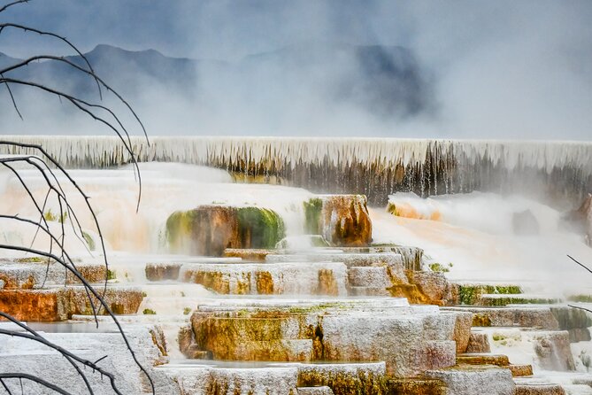Yellowstone & Grand Teton National Parks Winter Tour 5-Day - What Makes This Tour Stand Out?