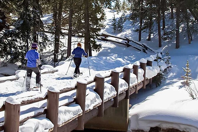 Yellowstone & Grand Teton National Parks Winter Tour 5-Day - Final Thoughts