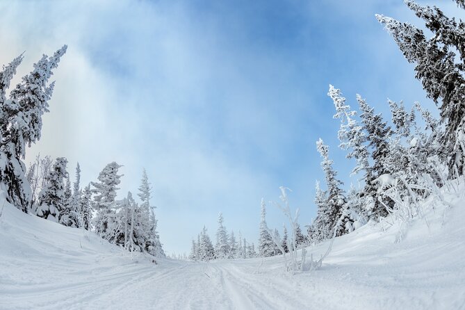 Yellowstone & Grand Teton National Parks Winter Tour: Small Group 4-Day Tour - FAQ: Common Questions About the Tour