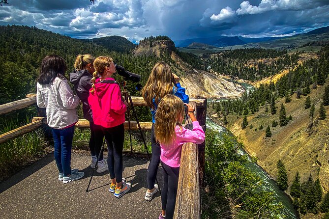 Yellowstone & Grand Teton Nat'l Parks Day Tour - Private Tour - An In-Depth Look at the Tour Itinerary