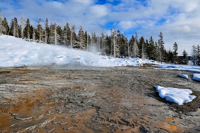 Yellowstone, Grand Teton & Utah Mighty 5 Winter Tour: Small Group 9-Day Tour - Day 1: Salt Lake City and Utah’s Highlights