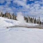 Yellowstone, Grand Teton & Utah Mighty 5 Winter Tour: Small Group 9-Day Tour - Day 2: Wildlife and Scenic Wyoming