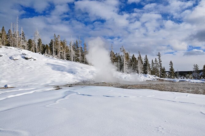 Yellowstone, Grand Teton & Utah Mighty 5 Winter Tour: Small Group 9-Day Tour - Day 2: Wildlife and Scenic Wyoming