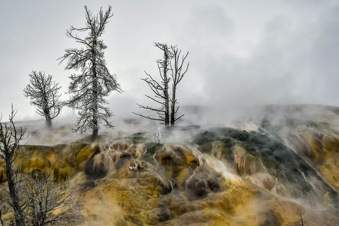 Yellowstone, Grand Teton & Utah Mighty 5 Winter Tour: Small Group 9-Day Tour - Day 7: Monument Valley and Native American Heritage