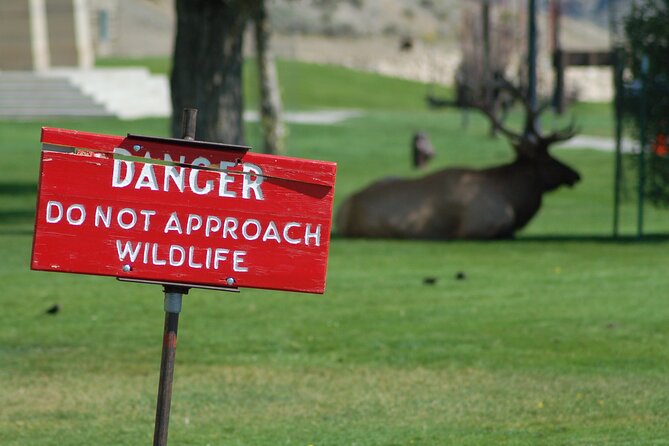 Yellowstone Grand Tour: See All Yellowstone In One Day - Key Points  