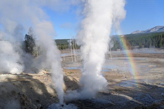 Yellowstone Grand Tour: See All Yellowstone In One Day - The Sum Up  